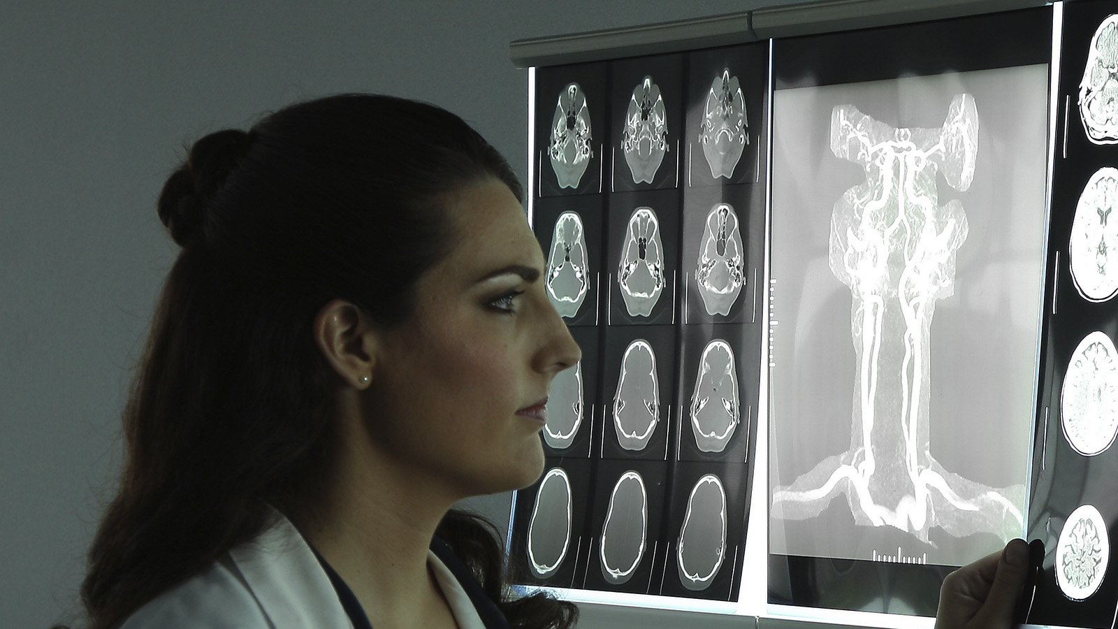 Medical Education Is Not One-Size-Fits-All: Choosing Your Pathway at ...